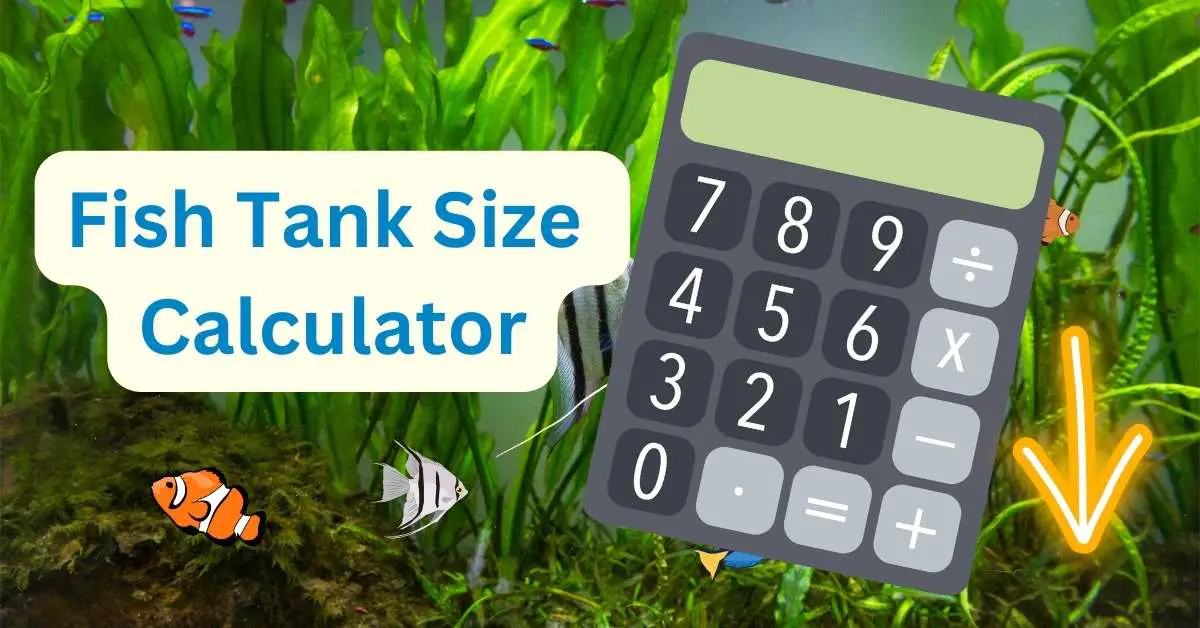 Fish Tank Size Calculator - Easy to Use