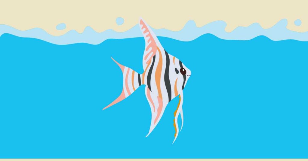 How to Care for Angelfish Eggs and Fry