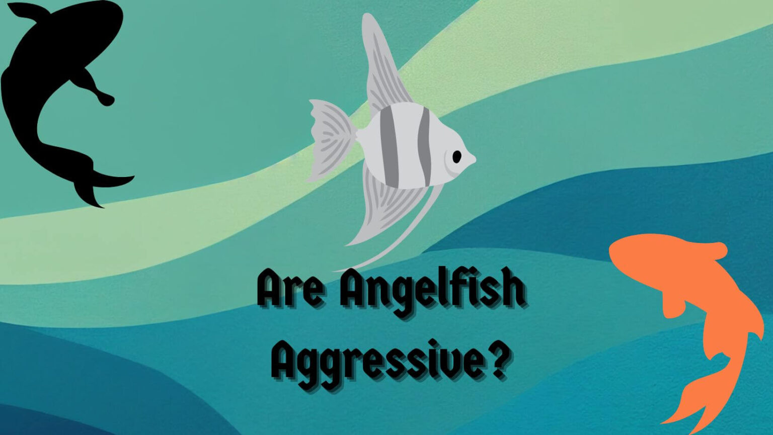 Are Angelfish Aggressive? - Aquarium Hack